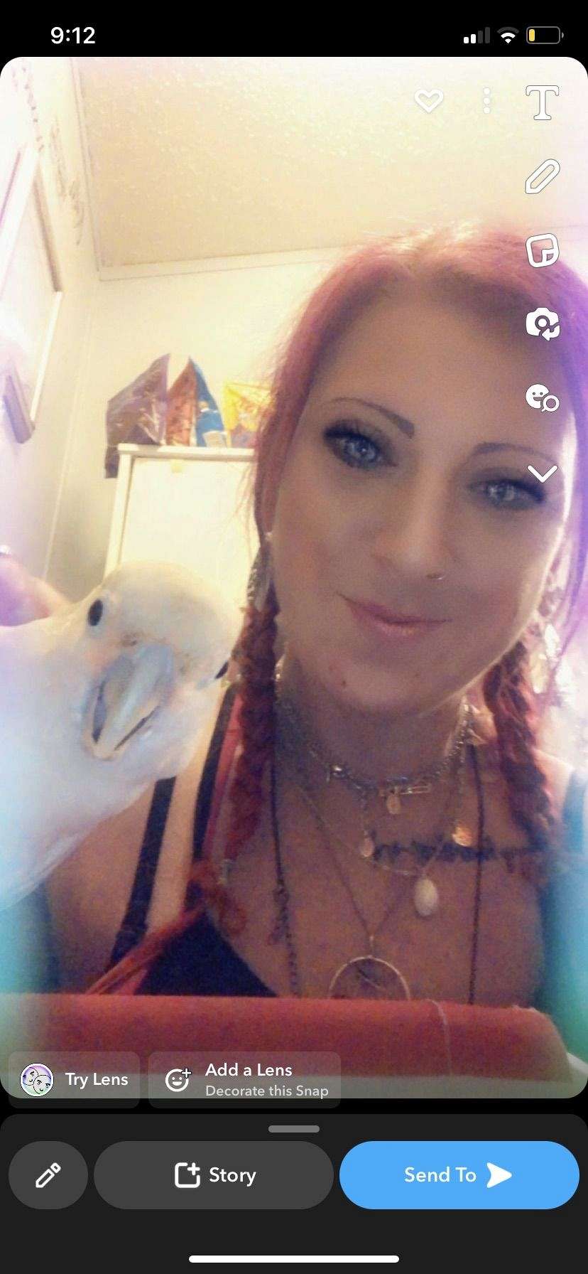 Beautiful, Goffins cockatoo