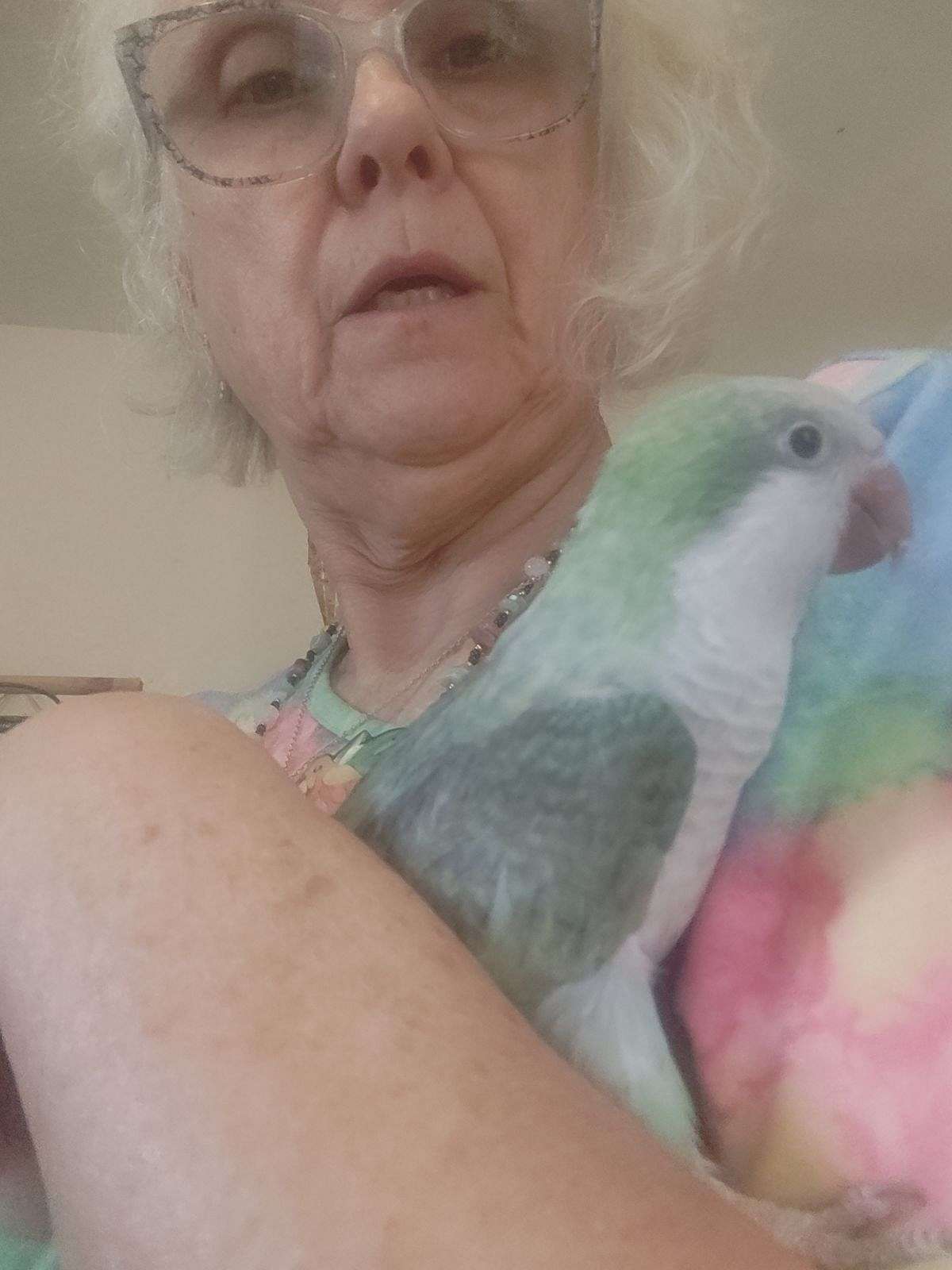 Turquoise Opaline Females