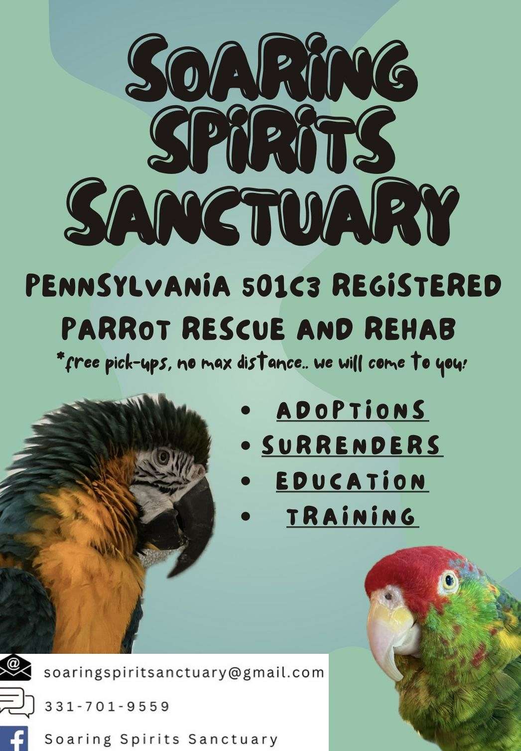 Registered PA nonprofit parrot rescue and rehab