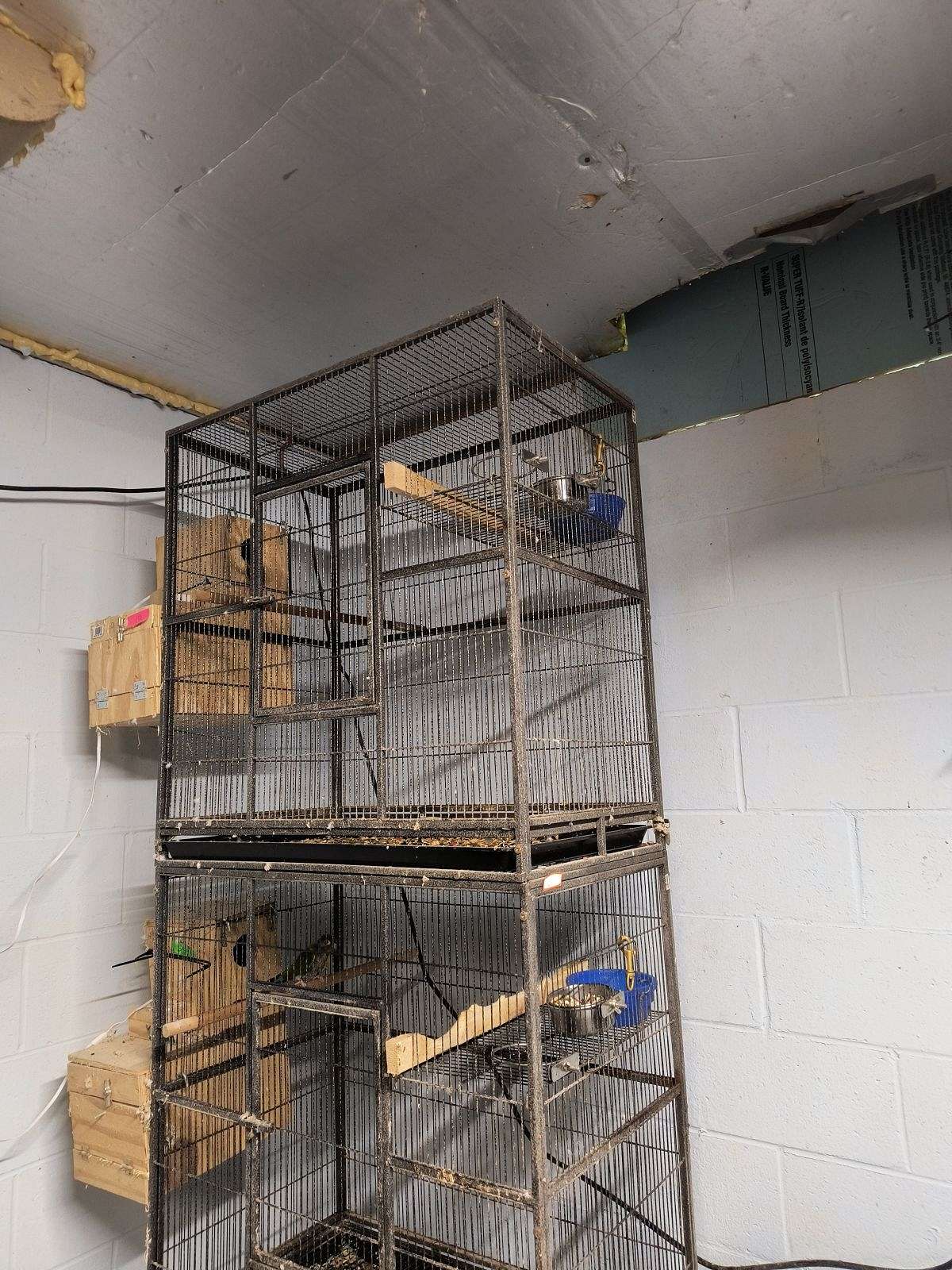 Breeding cage and pairs