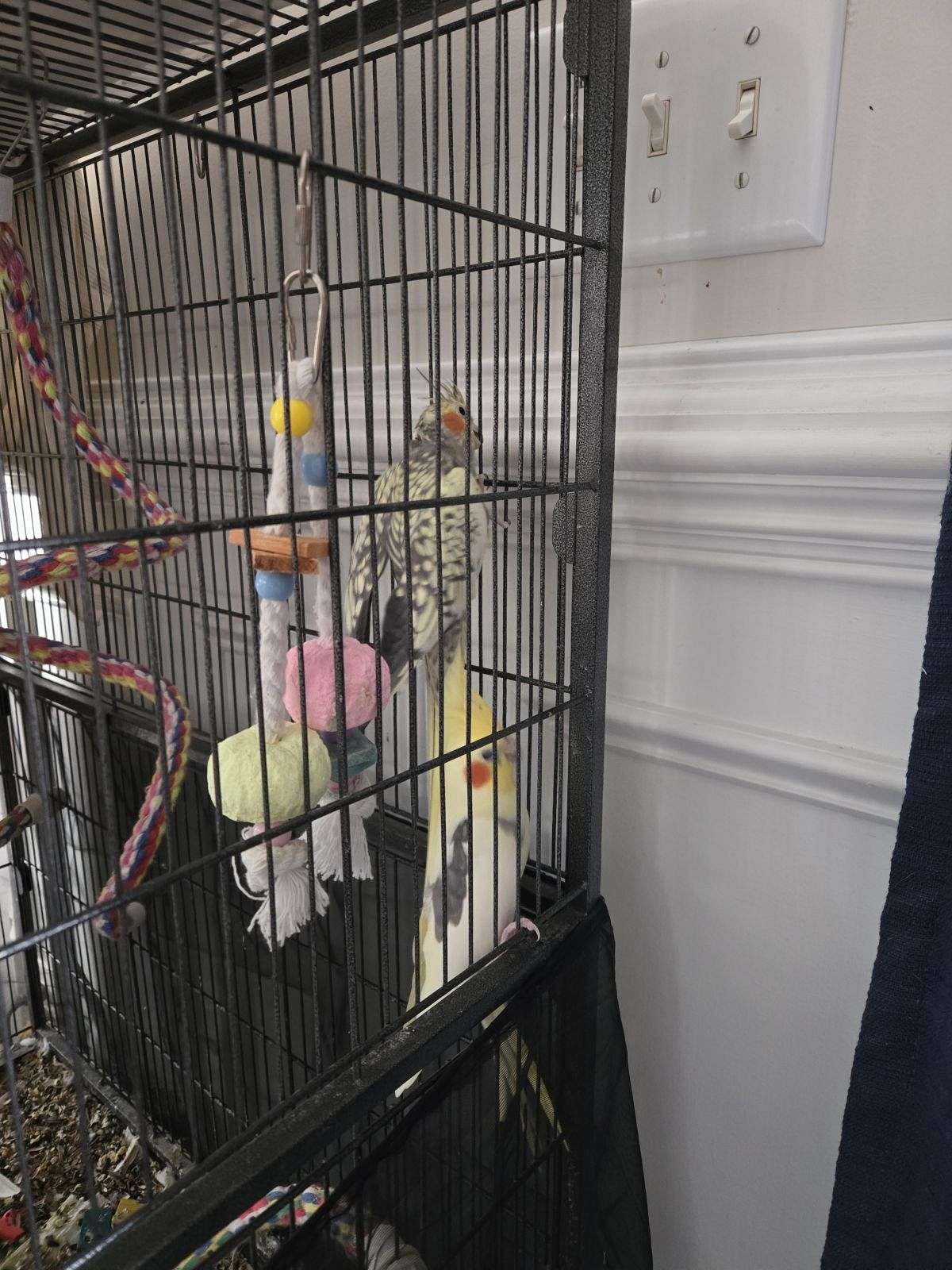 Bonded Proven Pair - must go together