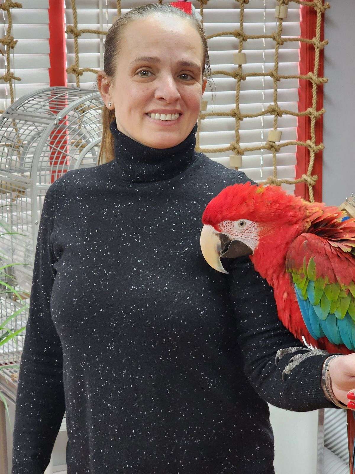 Green Wing Macaw