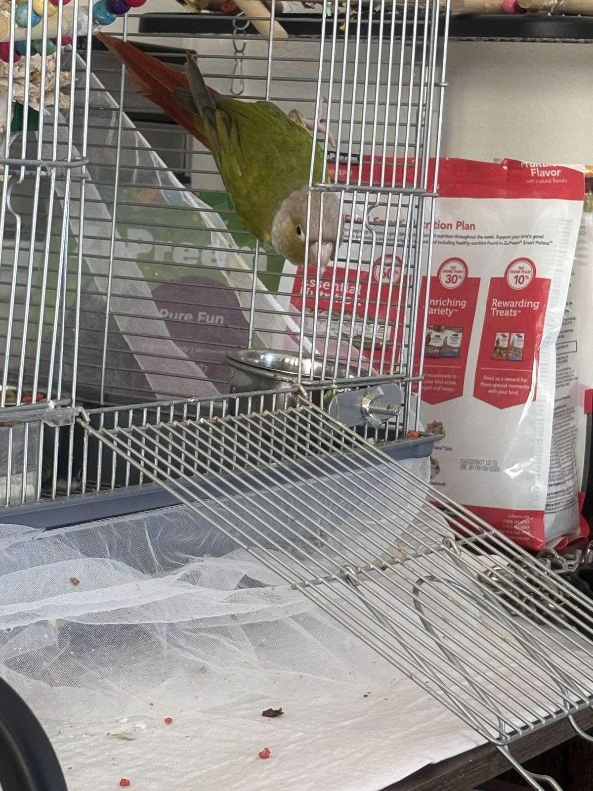 Nugget needs a new perch