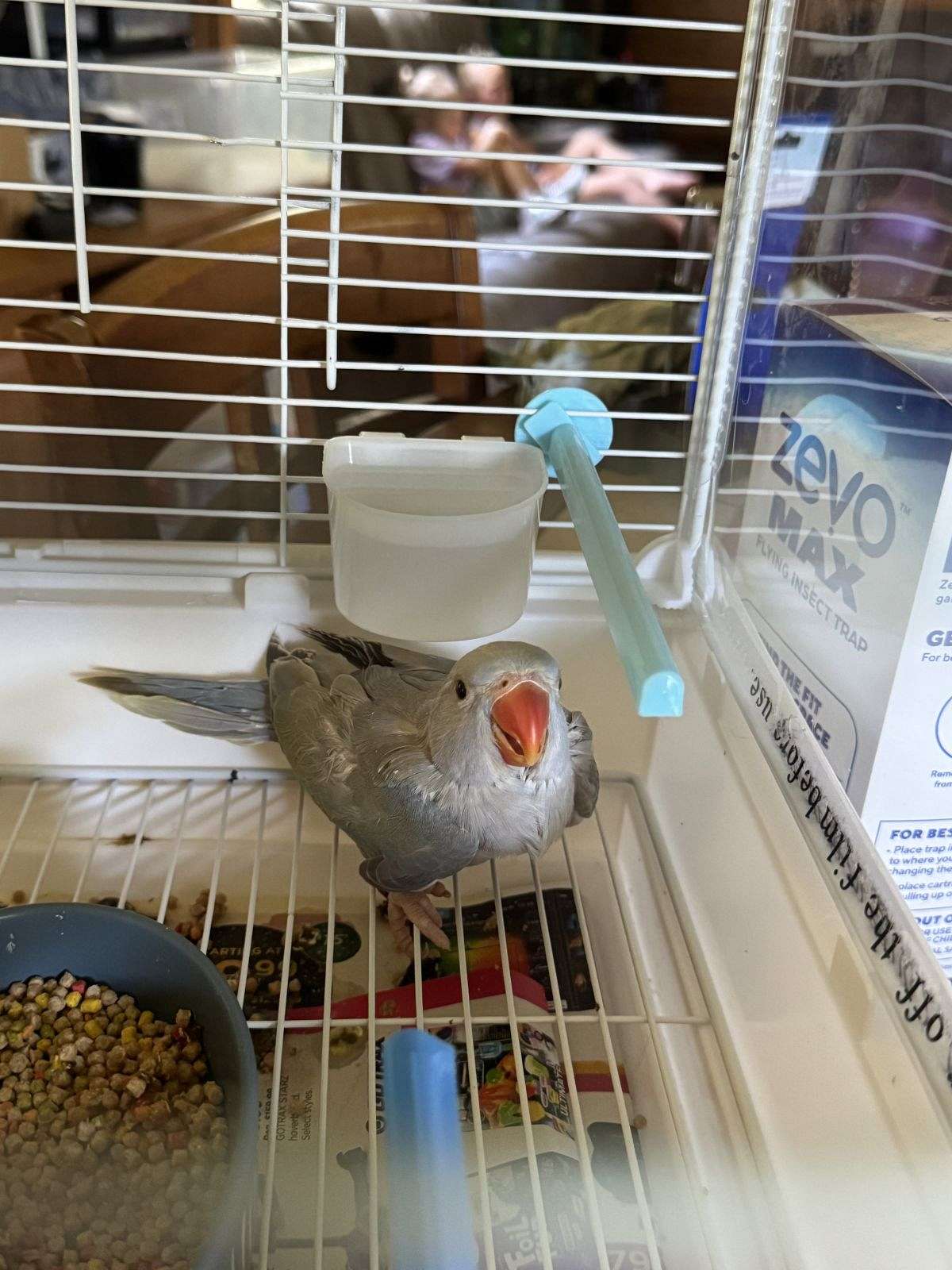 Ring neck