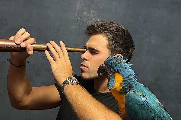 Patrick is looking for a new home