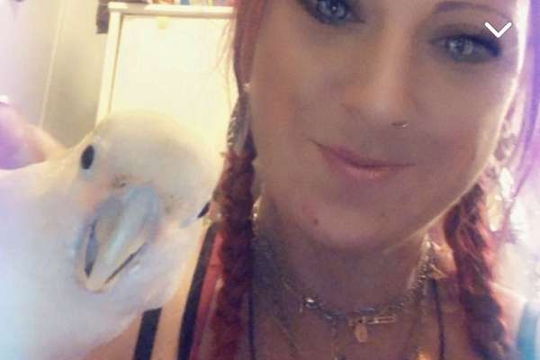 Beautiful, Goffins cockatoo