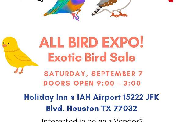 Houston ALL Bird Expo!