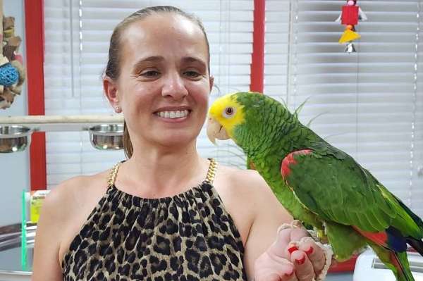 Double Yellow Amazon