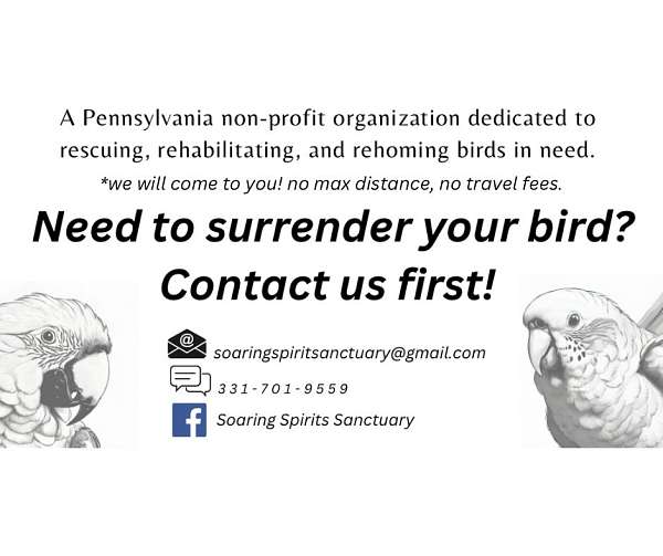 Bird Sanctuary and Rescue