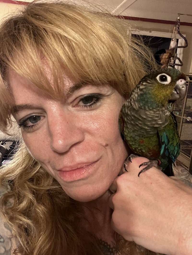 rare crimson bellied conures